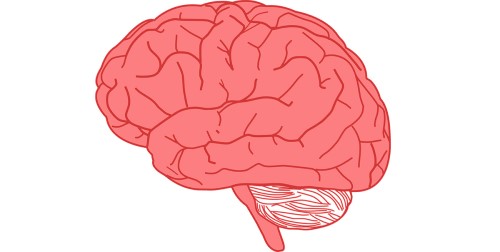 Educational Resources - WJEC / Adnoddau Addysgol - CBAC