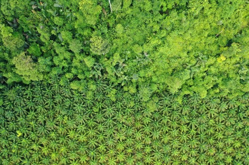 Educational Resources - WJEC / Adnoddau Addysgol - CBAC